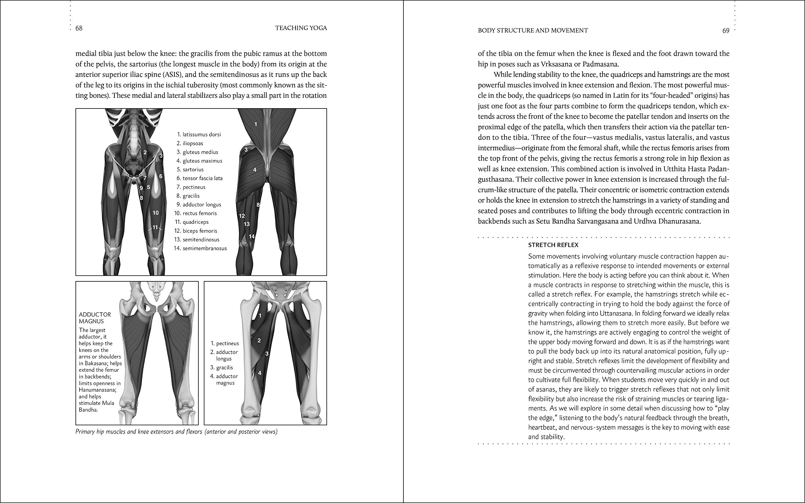 Teaching Yoga: Essential Foundations and Techniques – Deeps Water Yoga ...